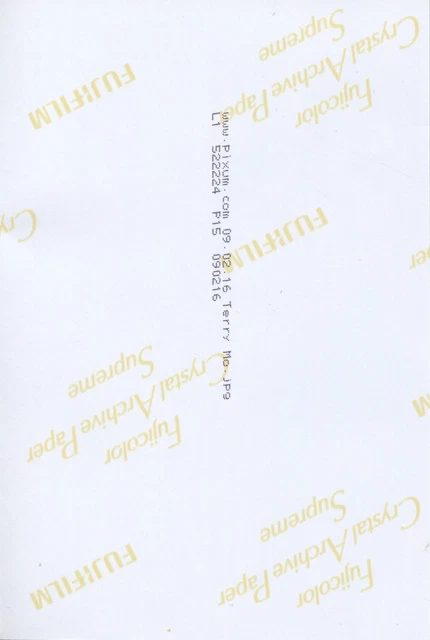 AUTOGRAPH TERRY MOORE 09/1984 Playboy Sexy Model Nude Top No Original ...