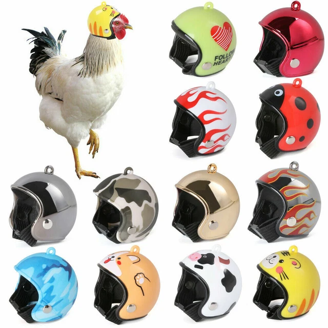 PET QUAIL HELMET Duck Pet Hard Supplies√ Chicken Bird Headgear Small ...