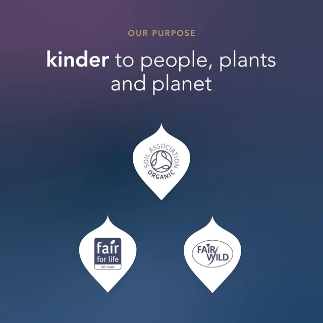 PUKKA ORGANIC TEA Advent Calendar 2025 24 Bags Xmas Gift Men Women £20. ...