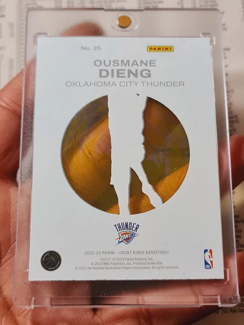 2022-23 COURT KINGS OUSMANE DIENG Acetate Rookies #25 $1.85 - PicClick AU