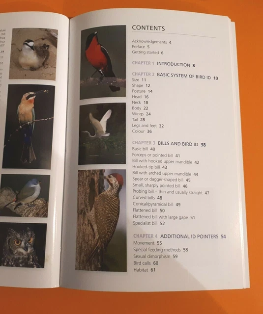 PETER GINN: BASIC Bird ID in Southern Africa/bird identification/field ...