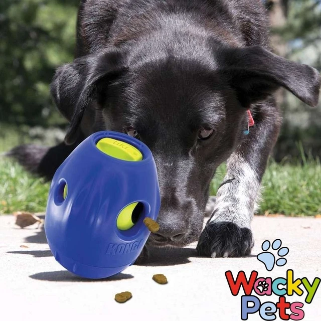 KONG DOG TOY Tikr SM TREAT DISPENSING DOG TOY WITH TIMER UP TO 45 ...