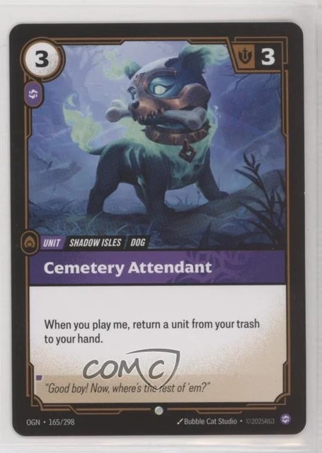 2025 RIFTBOUND ORIGINS: League of Legends TCG OGN Cemetery Attendant ...