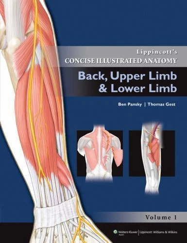 BACK, UPPER LIMB and Lower Limb: Back, Upper Limb and Lower Limb ...