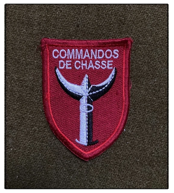 INSIGNE COMMANDO CHASSE para TAP Indochine Algérie BEP BCP RCP DBP brevet BPC EUR 39,00 ...