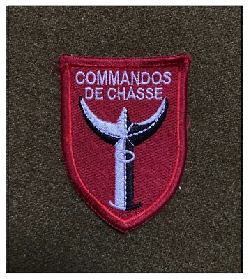 INSIGNE COMMANDO CHASSE para TAP Indochine Algérie BEP BCP RCP DBP brevet BPC EUR 39,00 ...