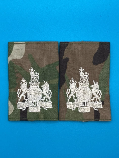 PAIR: ROYAL NAVY Rank Slides - Warrant Officer WO MTP Gold - CIIIR $12. ...