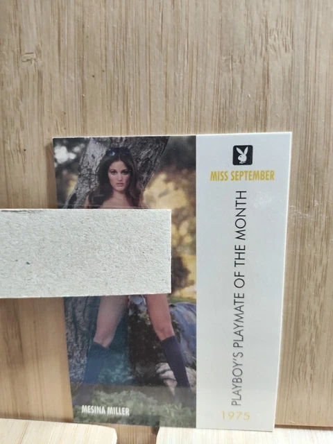 PLAYBOY 40 YEAR ANNIVERSARY 🏆1997 #66 MESINA MILLER Card🏆 $5.00 - PicClick AU