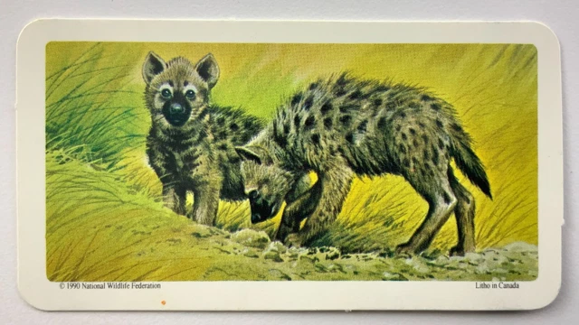 ANIMALS AND THEIR Young Spotted Hyena No 27 Red Rose Tea Card CC615 $2. ...