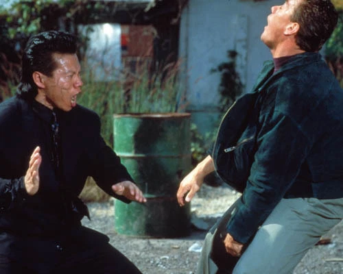 JEAN-CLAUDE VAN DAMME [1003729] 8x10 photo (other sizes available) EUR ...