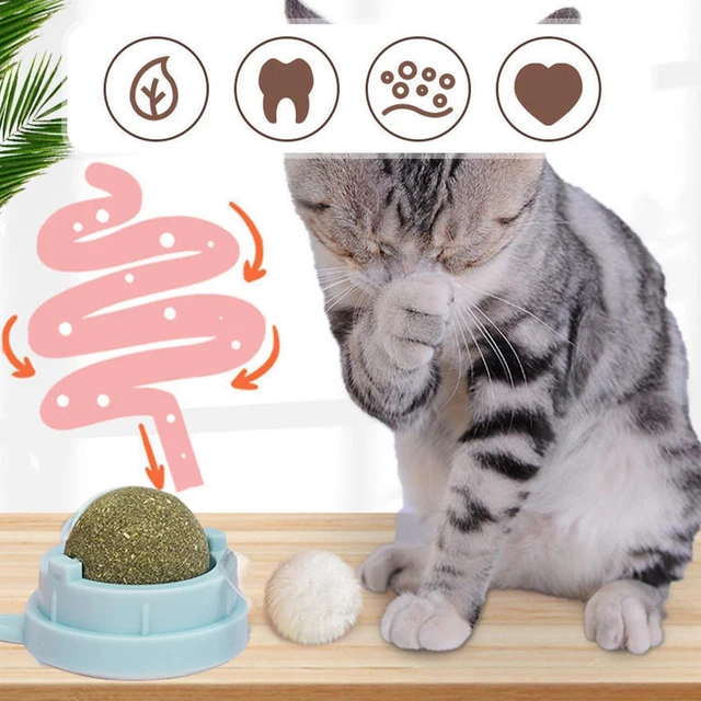 Natural Catnip Kitten Mint Ball Toy Cats Playing Cleaning Catnip
