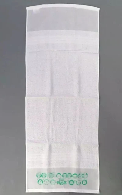 POKÉMON HOT SPRING Towel, Tenugui, Local Acts Product, 84x33cm, Used ...