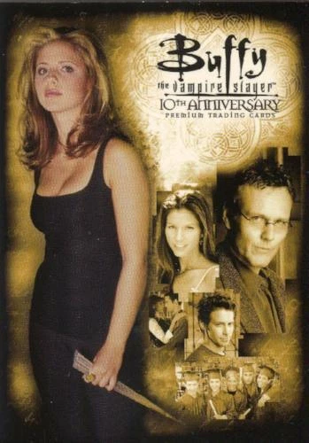 Buffy The Vampire Slayer 10th Anniversary Inkworks Pieceworks Costume
