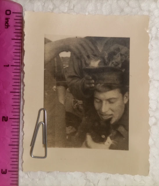 012 WW2 ORIG. Photo German Soldiers Cats Uniforms Cap 2.5 x 3 inch $24. ...