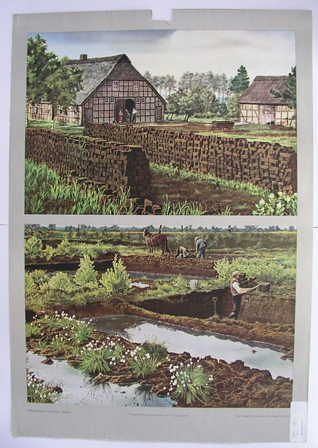 TABLEAU TORFGEWINNUNG TORFMOORE Torfstiche Torfstücke Torfabbau 92x64cm ...