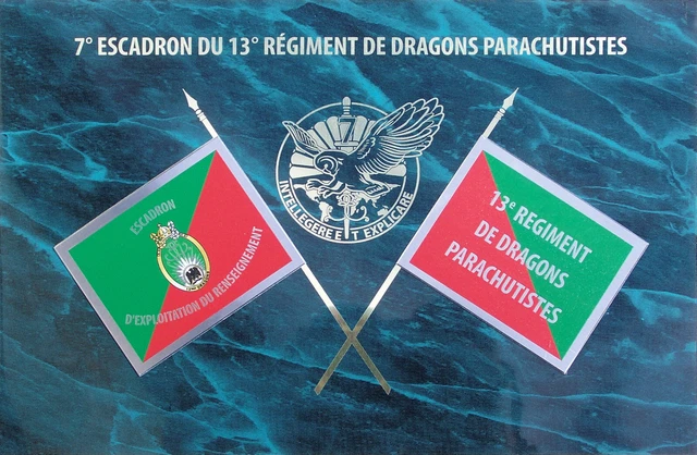 13 RDP - Dragons - Parachutistes - Forces Speciales - Plaque Laiton 7/ ...
