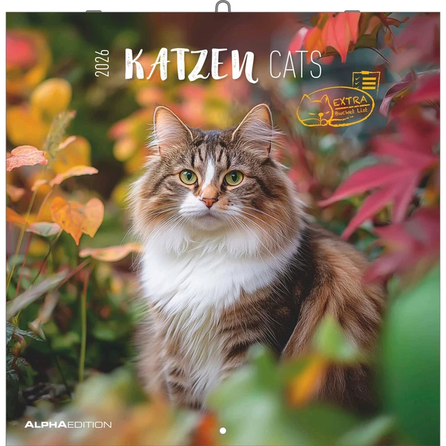 KATZEN 2026 - Broschürenkalender 2026 EUR 10,99 - PicClick DE