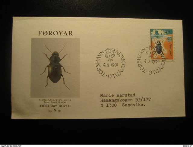 TÓRSHAVN 1991 BEETLE Beetles Coleoptere Coleopteres Féroé Islands ...
