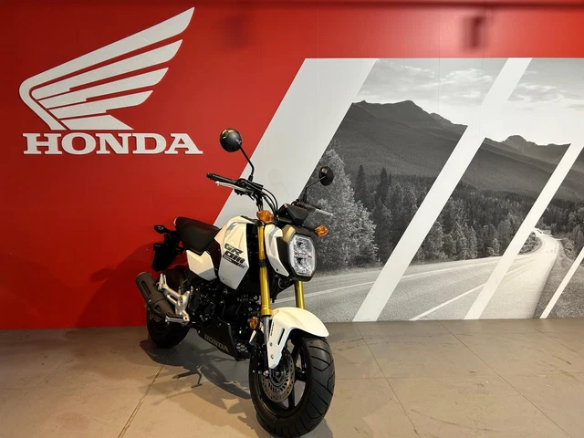 HONDA MSX 125 Grom 2025 - SAVE £350 - ALL COLOURS IN STOCK NOW £3,579. ...
