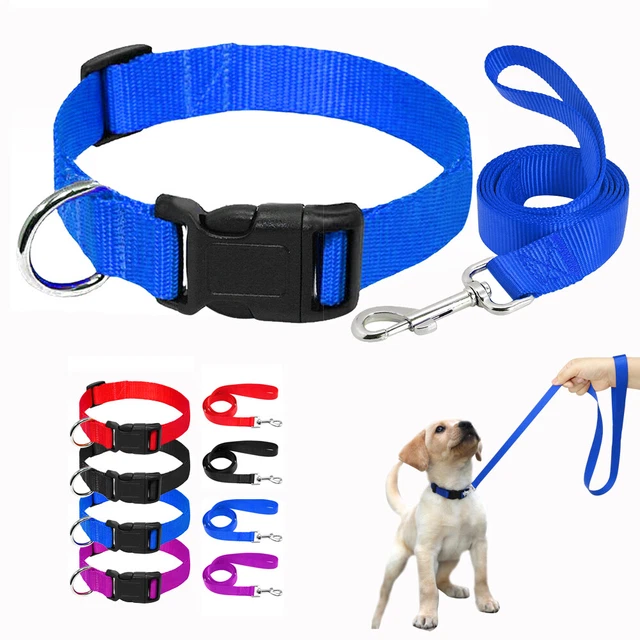 NYLON PET ADJUSTABLE Collar And Walking Lead Set Cheap For Small Dogs ...