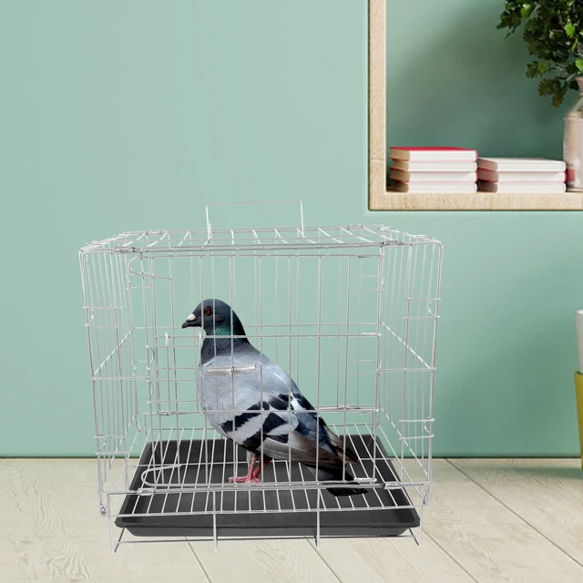 PORTEUR D'OISEAU NOURRIR Les Oiseaux En Cage D'élevage De Pigeons À EUR 57,54 - PicClick FR