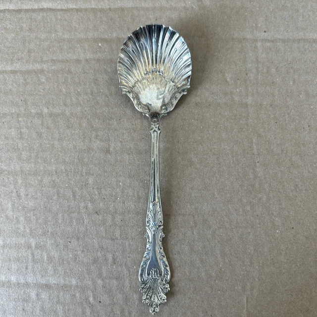 ROGERS & HAMILTON 1896 Antique RAPHAEL Sugar Shell Jelly Spoon ...