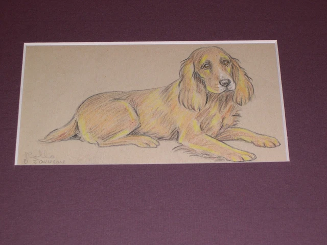 ANTIQUE RARE COCKER Spaniel Dog Pencil Drawing By D. Johnson Named Dog ...
