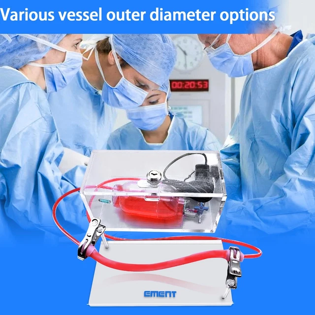 VASCULAR SURGERY SIMULATION Model with Simulated Blood Flow For Medical ...