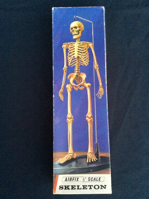 AIRFIX RED Stripe 1/6Th Scale Skeleton £59.95 - PicClick UK