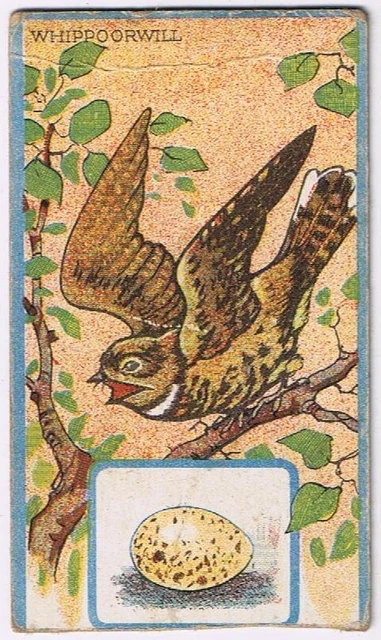 Confectionery, Food Advertising, Advertising Collectables, Collectables ...