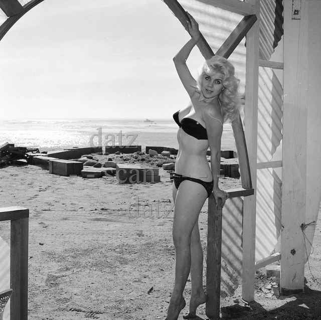 1950s Photo Sexy Blonde Pinup Girl Darby Flynn Cheesecake T803347 £988 Picclick Uk