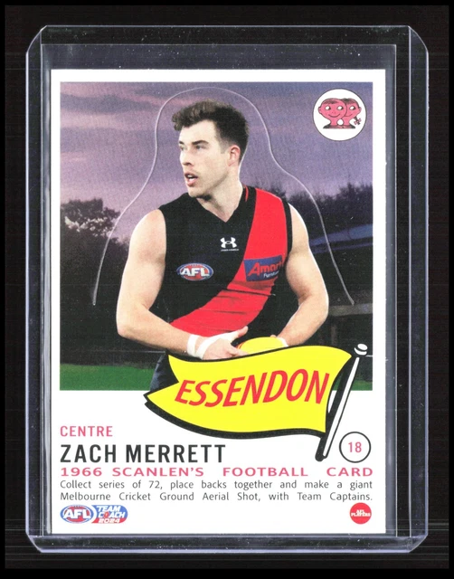 AFL 2024 TEAMCOACH Scanlen's Essendon Zach Merrett 18 Football Card CB ...