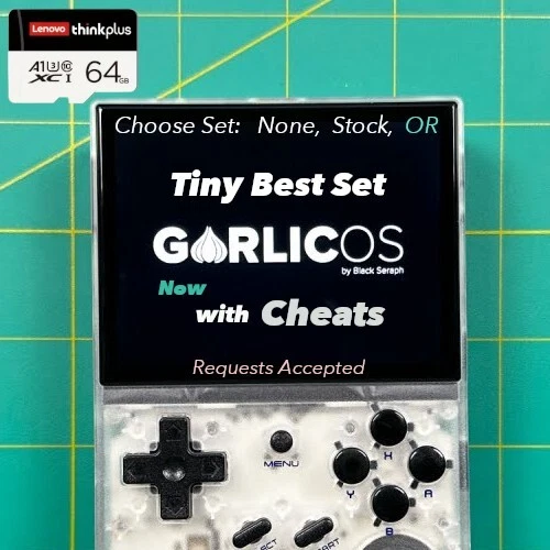 ANBERNIC RG35XX SD Card 64GB - GarlicOS & Tiny Best Set Games - Box Art - Cheats EUR 21,48 ...