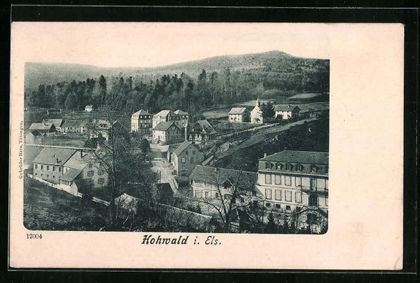 CPA HOHWALD I. Els, vue partielle avec vue de la rue EUR 7,00 - PicClick FR