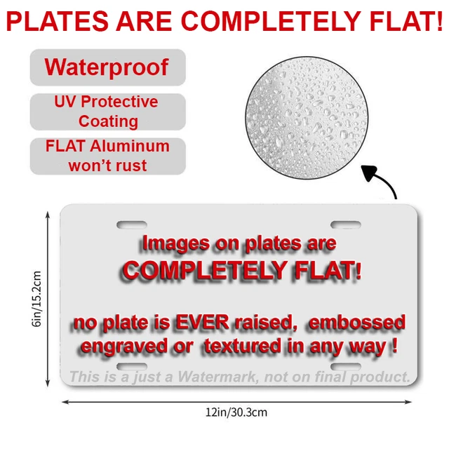 DISABLED AMERICAN VETERANS Art on Undersea FLAT Aluminum Novelty ...