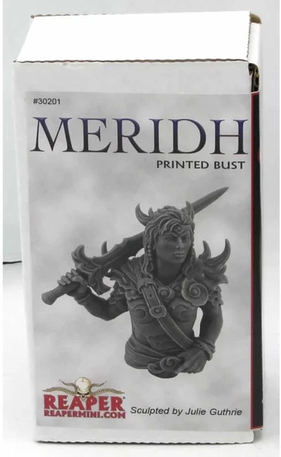 REAPER MINIATURES FEMALE Warrior Bust Miniature Figure Reaper ...