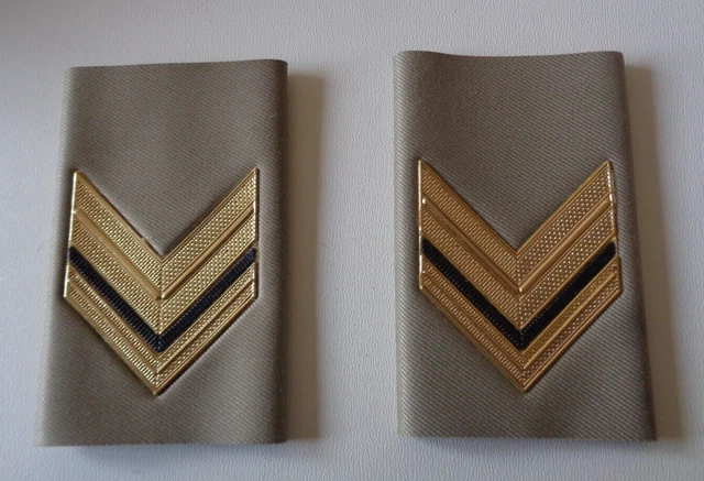 COPPIA DI GRADI Tubolari Sergente Esercito Italiano Mod. 3 EUR 15,00 ...