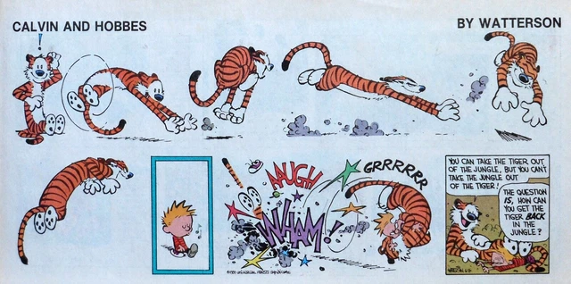 CALVIN AND HOBBES by Bill Watterson - color Sunday comic page - June 11 ...