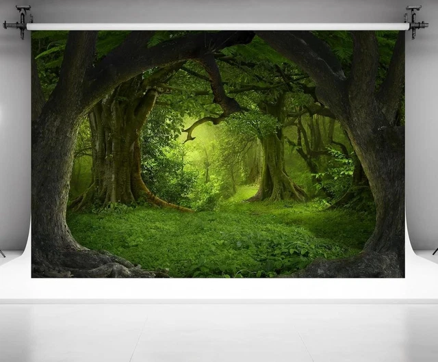7X5FT ENCHANTED FOREST Backdrop Fairy Tale Wonderland Magical Fantasy ...