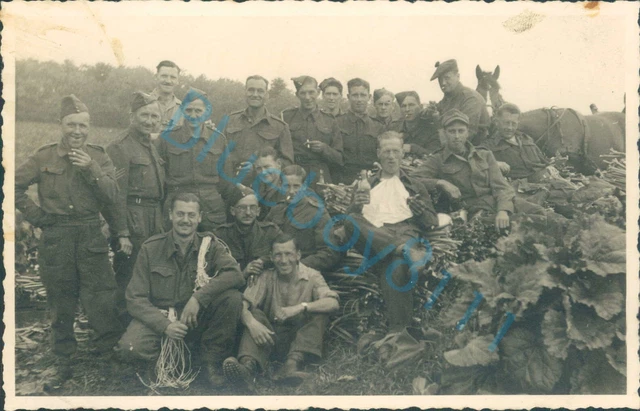 WW2 BRITISH PRISONERS Of War POW's Picking Rhubarb Stalag XXI D Poland ...