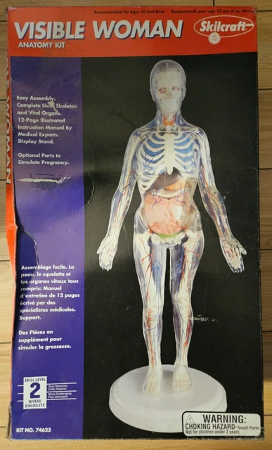 SKILLCRAFT VISIBLE WOMAN 74623 Human Body Model Kit *Partially ...