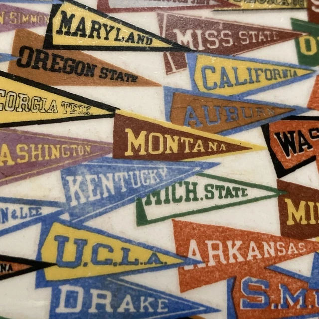 COLLEGIATE PACIFIC OMERSA Feltro Pennant Can Peluche Giocattolo H D Lee ...