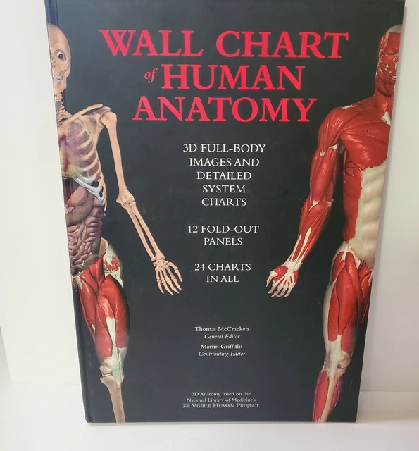 WALL CHART OF Human Anatomy 3D Full Body Images and System Charts Book ...
