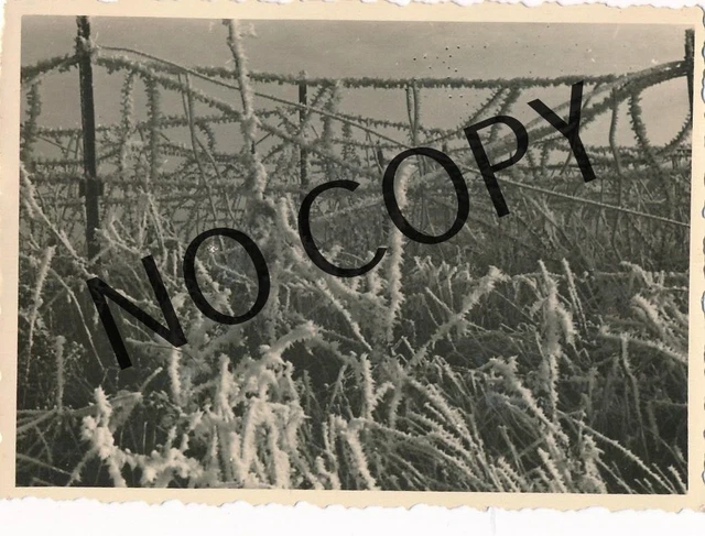 FOTO WK2 FRANKREICH Westwall Grenze Stacheldraht border Schutzwall 1939 ...