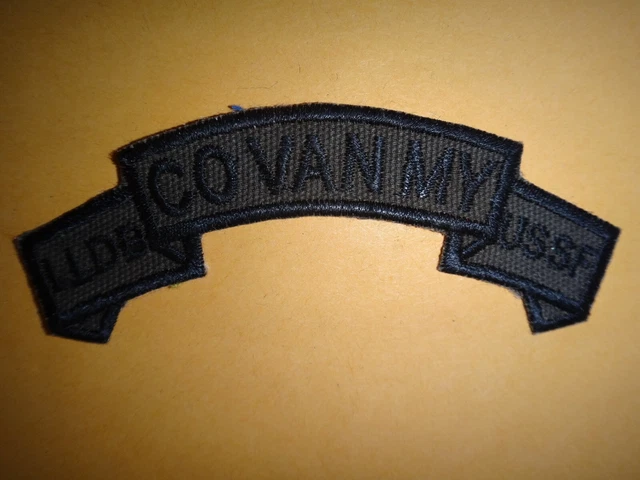 SPECIAL FORCES ADVISOR "LLDB-CO VAN MY-USSF" Vietnam War Subdued Scroll ...
