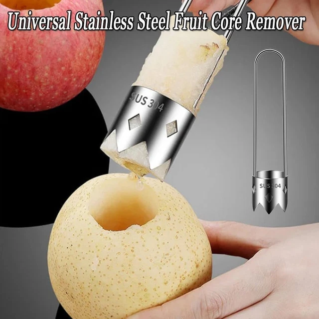STAINLESS STEEL CORER to Remove Pear Cores, Fruit Cores, Vegetable ...