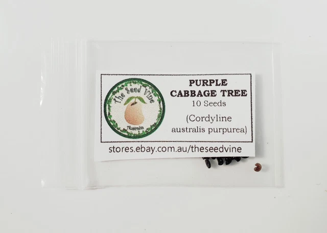 10 PURPLE CABBAGE TREE SEEDS (Cordyline australis purpurea) Native ...