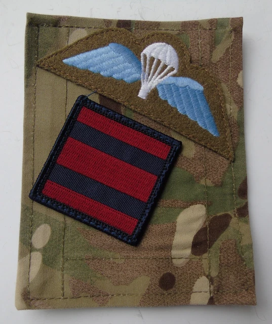BRITISH ARMY ROYAL Engineers Parachute Trained MTP/Blanking Panel/Patch ...