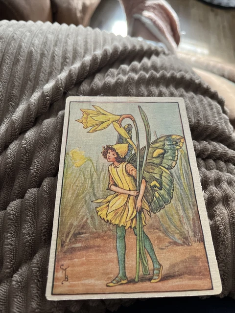 THE PINE TREE Flower Fairy: Cicely Mary Barker Postcard £1.50 - PicClick UK