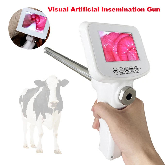 COW ARTIFICIAL INSEMINATION Visual Endoscope Sperm AI Gun Tool Kits Horse Cattle £196.99 ...